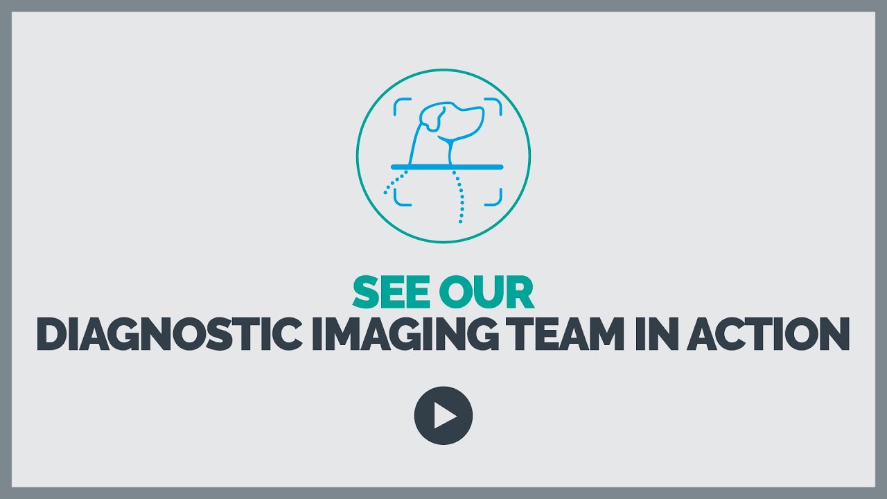 Diagnostics Overview