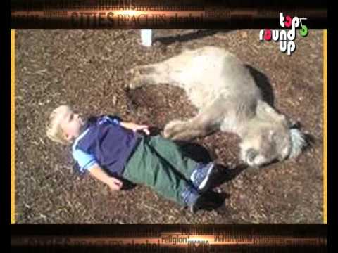 Top 5 Petting Zoos In the World