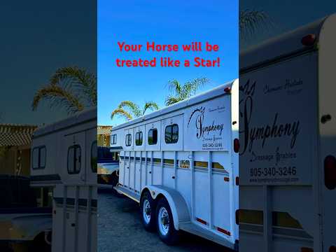 Symphony Horse Transport and Equine Limo Service #horse #horsetransportation