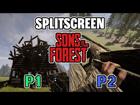 Steam Community :: Video :: How To Play Split Screen Co-Op - Sons Of ...