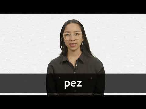English Translation of “PEZ” | Collins Spanish-English Dictionary