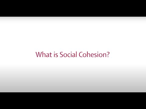 What is Social Cohesion?