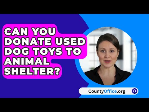 Can You Donate Used Dog Toys To Animal Shelter? - CountyOffice.org