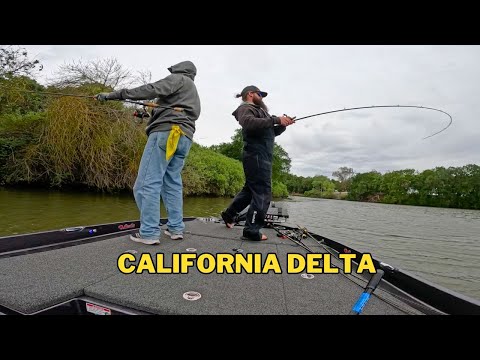 CBL Tournament of Champions on the California Delta
