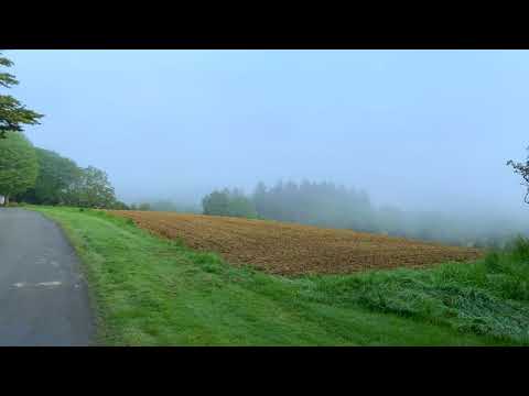 A relaxing morning walk in the French countryside - 4K