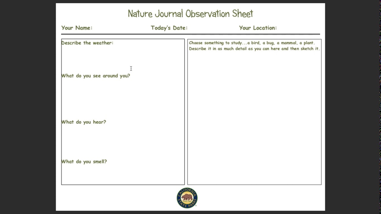 Week 5 Ecosystem Activity