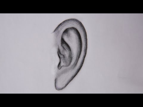 Cómo dibujar la OREJA /Paso a paso