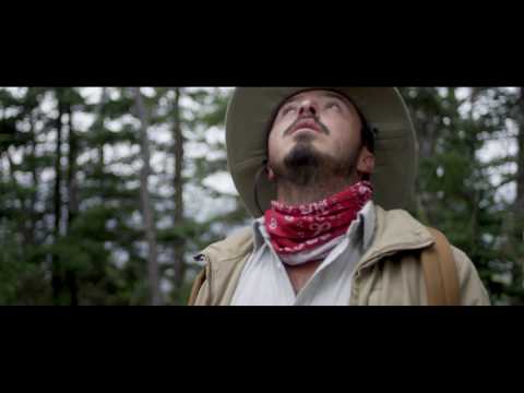WYO - Running Wild