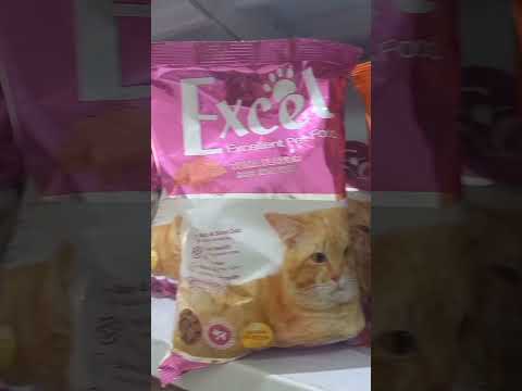 Rekomendasi makanan kucing yang murah dan bagus di bawah 50 ribu#shorts #makanankucing #kucinggemoy