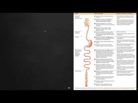 Digestive System: Test Review