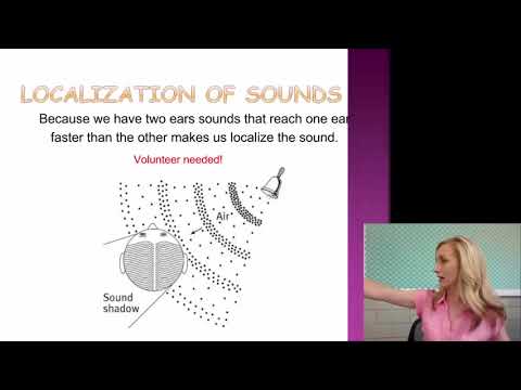 Hearing Flipped Notes for AP Psychology by Mandy Rice