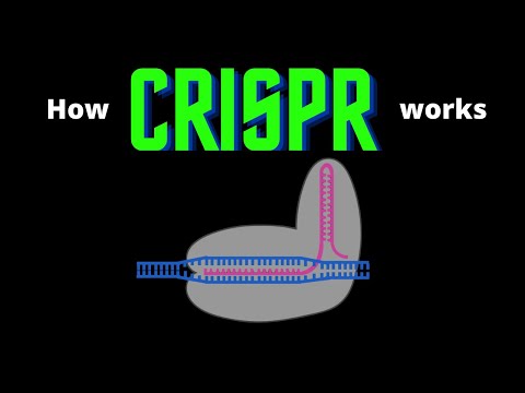 USMLE Step 1 - Lesson 26 - CRISPR Cas9