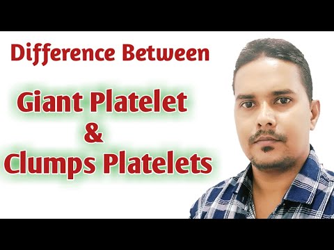 Difference between Giant and Clumps | giant platelets in hindi | clumps of platelets on smear