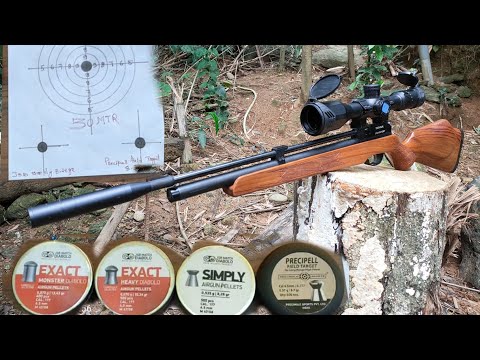 Multi Shot Air Rifle - Repeating Air Guns Latest Price, Manufacturers ...