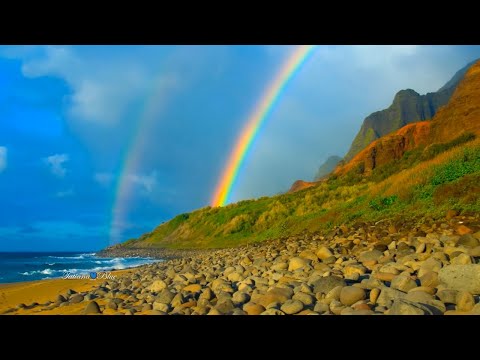 GUYANA: Blessings to Treasure – 40 poems – By Dmitri Allicock | Oh ...