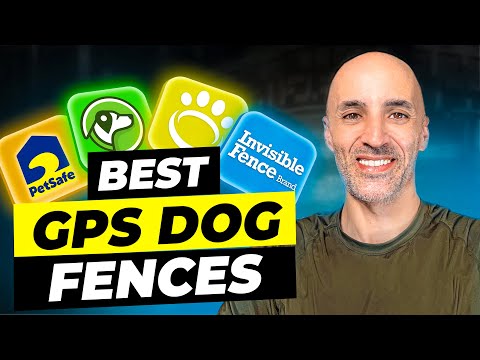 Best GPS Dog Fences for Pet Owners in 2025 Revealed