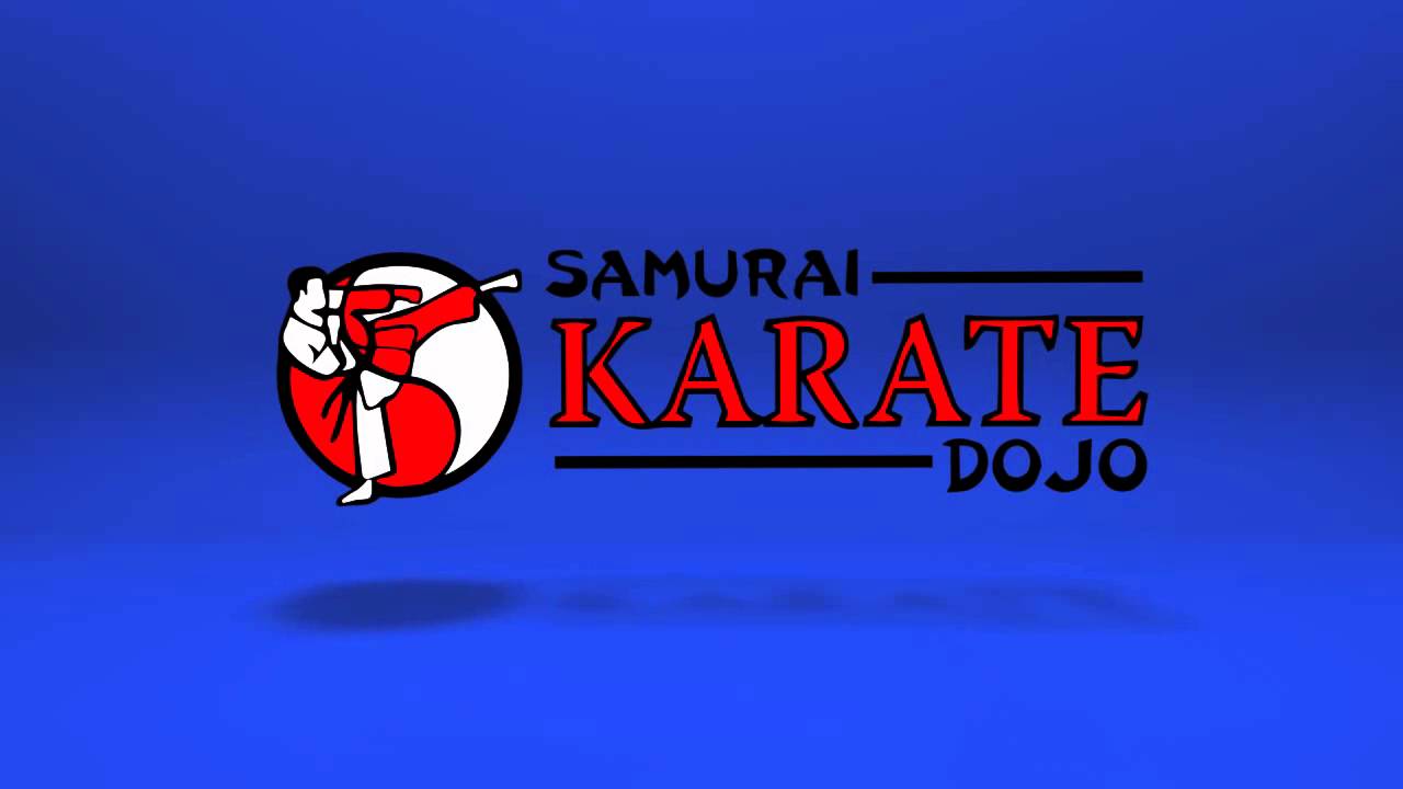 SKD FallingLogo 082413 D