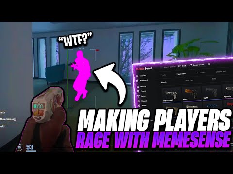 Making Legit Players RAGE With This CS2 Cheat (MemeSense)