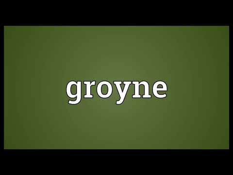 Groyne Meaning