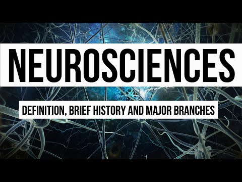 Major Aspects of Neurosciences You Need to Know Now!