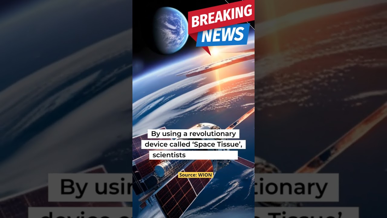 China’s Stem Cell Breakthrough