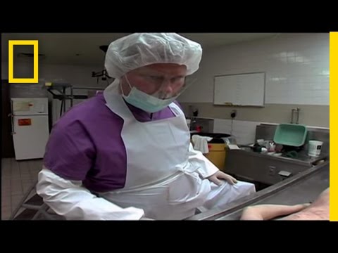 Real-Life CSI: Autopsy | i-Biology