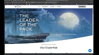 Wolf Software Systems Ltd Reviews and Clients | DesignRush