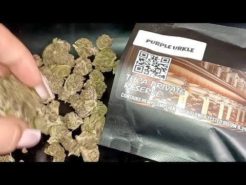 THCA Small Buds Purple Urkle Private Reserve Greenhouse Grow. 10% Off Discount Code: Blazed10