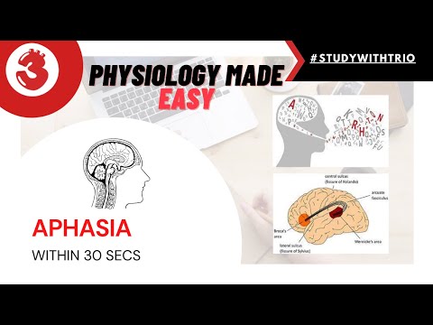 Aphasia | Easy to learn | The MBBS Trio #StudywithTrio
