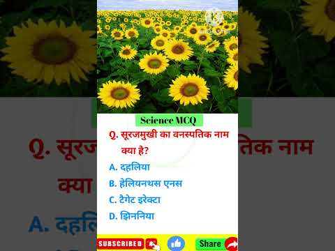 सूरजमुखी का वैज्ञानिक नाम ||#shorts #ytshorts #gk #science #mptet #viral #competitive #mppatwari