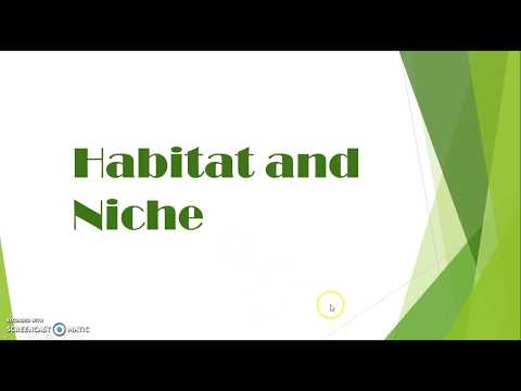 Habitat & Niche " BIOLOGY CONCEPTS " where biology meets technology.