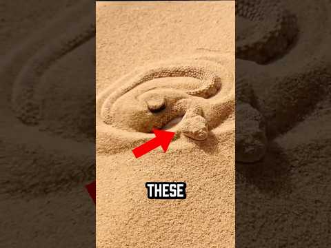 Top 5 Strangest Desert Phenomena In The World!