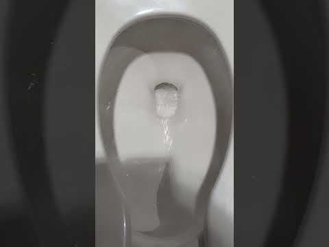 American Standard Madera Toilet At Walmart