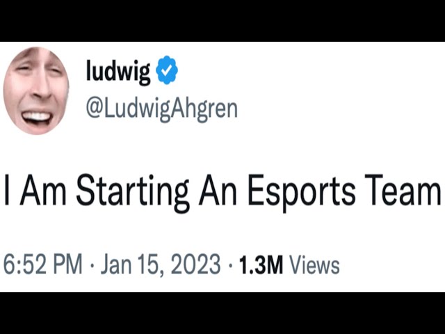 Ludwig officially announces the roster for his professional Valorant ...