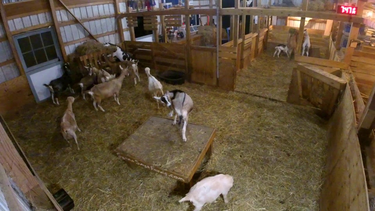 60+ Live Webcams for Virtual Office Backgrounds ...