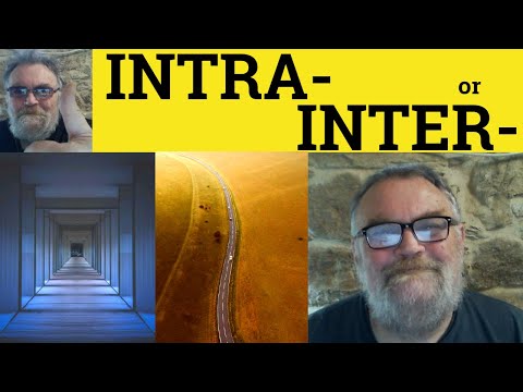 🔵 Intra vs Inter Meaning - Inter or Intra Defined - Intra Examples - Intranet Intrastate Intravenous