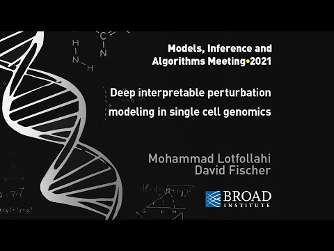 MIA: Lotfollahi & Fischer, Deep perturbation & cell communication modeling; Primer, Theis & Buettner
