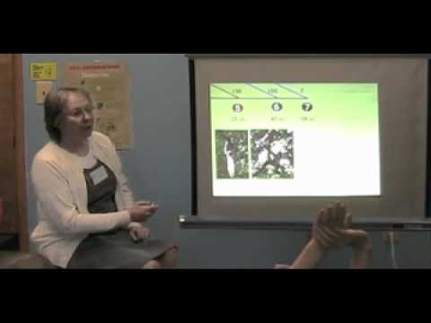 Ancestor's Tale for Kids, pt 1 of 2 - interactive program based on book by Richard Dawkins