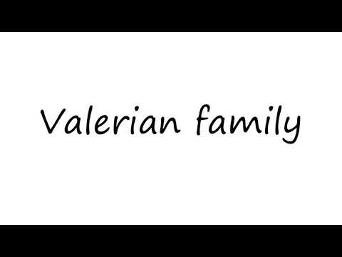 How to Pronounce Valerian family?