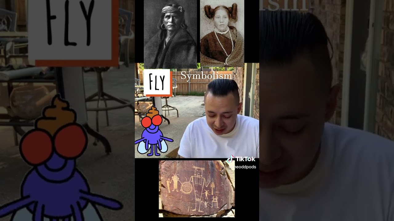 #Fly #fruitfly #symbolism #history #Navajo #Hopi #AncientEgyptians #SpiritualMeaning