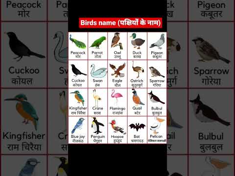 #Birds name#पक्षियों के नाम#vocabulary #dailyvocab @jasbirsingh-cr9ms