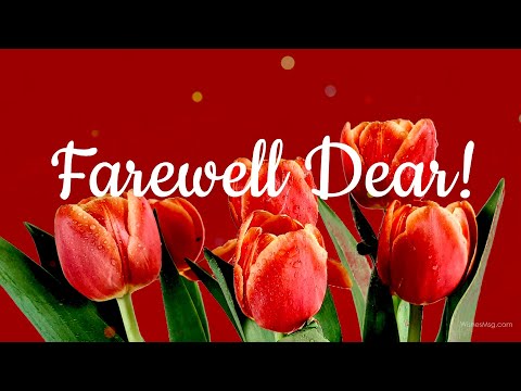 Farewell Messages || Best Farewell Wishes || WishesMsg.com