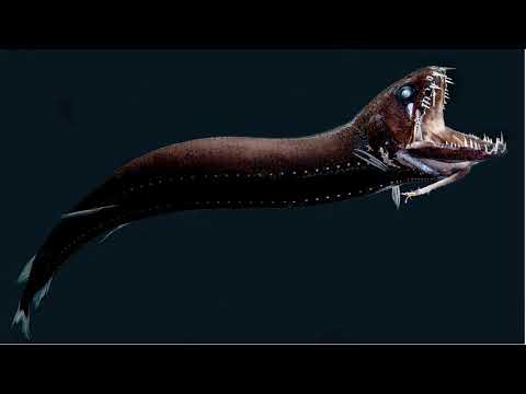 abyss The New English Dictionary meaning | Vocabulary for Kids | Children's Dictionary