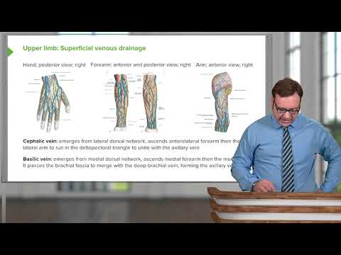 Superficial Venous Drainage – Cutaneous Innervation and Venous Drainage of Upper Limb
