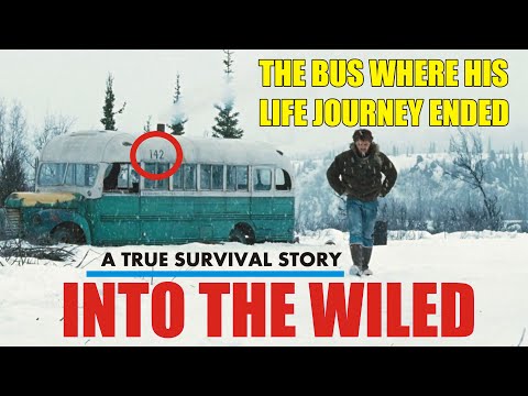 Into the Wild (2007) Explained | The True Story of Chris McCandless #movierecap #movie