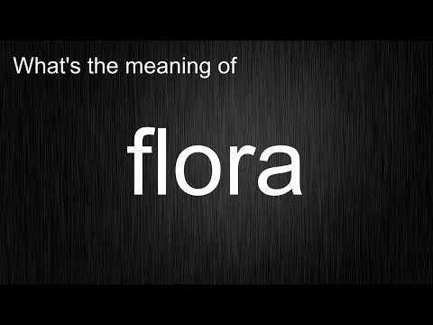 What's the meaning of "flora", How to pronounce flora?