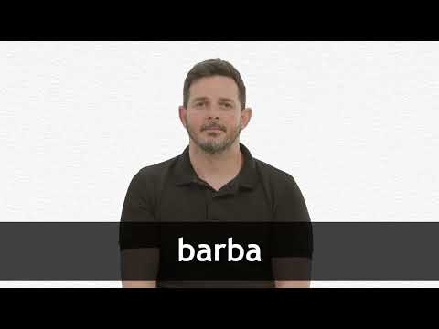 English Translation of “BARBA” | Collins Spanish-English Dictionary
