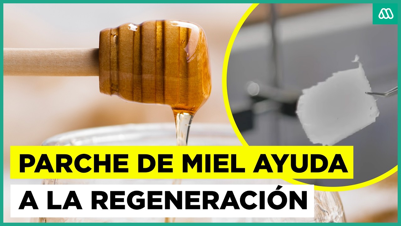 Nuevo parche de miel ayuda a la regeneración