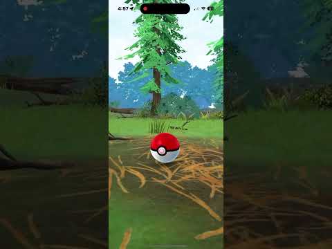 Catching a Grookey