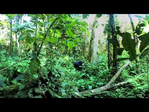 Journey with us in Uganda (360° Video)